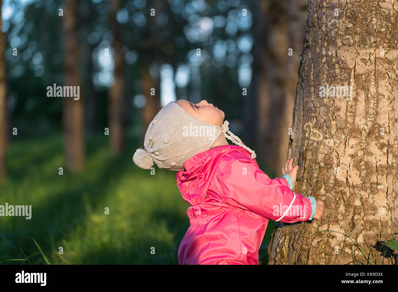 little child looks up at tree Stock Photo - Alamy