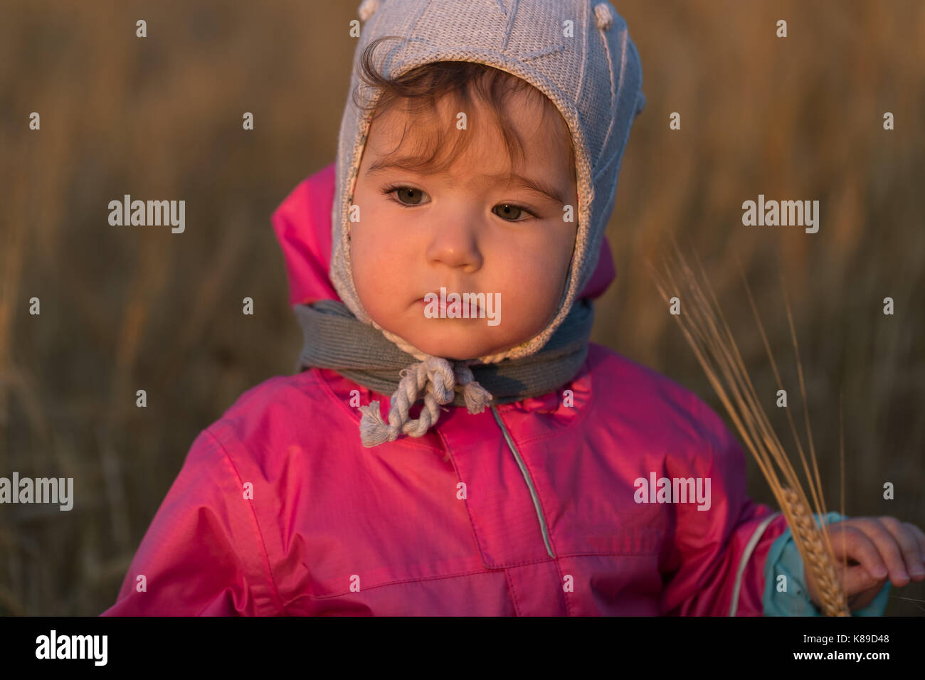 Little barley grass hi-res stock photography and images - Alamy