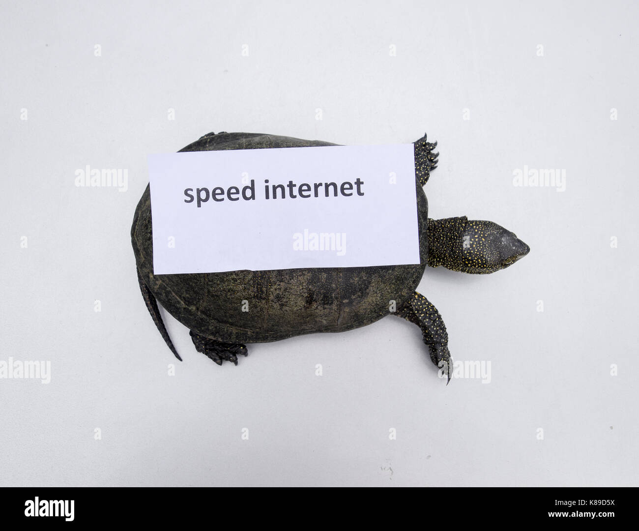 New_guinea hi-res stock photography and images - Alamy