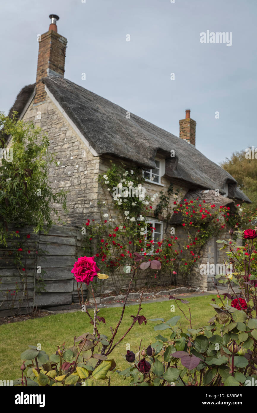Thatched Cottage with red roses in Dorset Stock Photo - Alamy