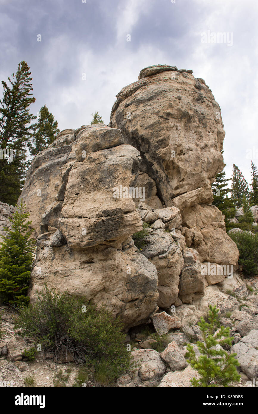 Evergreen formation hi-res stock photography and images - Alamy