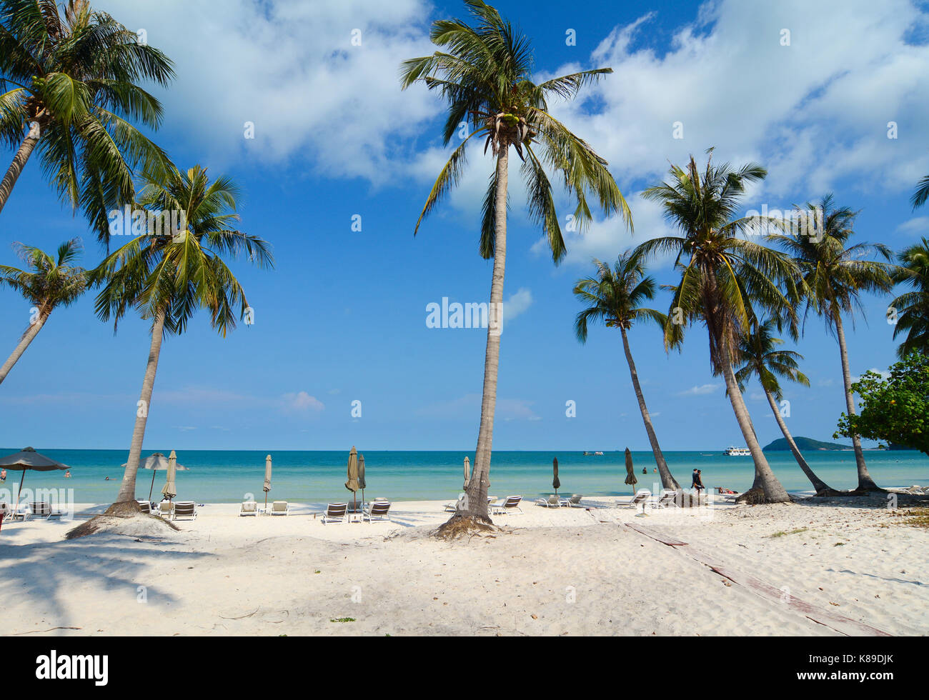 Plam beach summer bay hi-res stock photography and images - Alamy