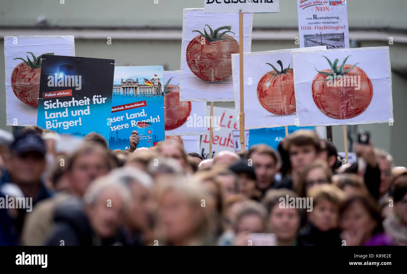 Dcemonstrators holding AfD signs and signs depicting tomatoes at a CSU ...