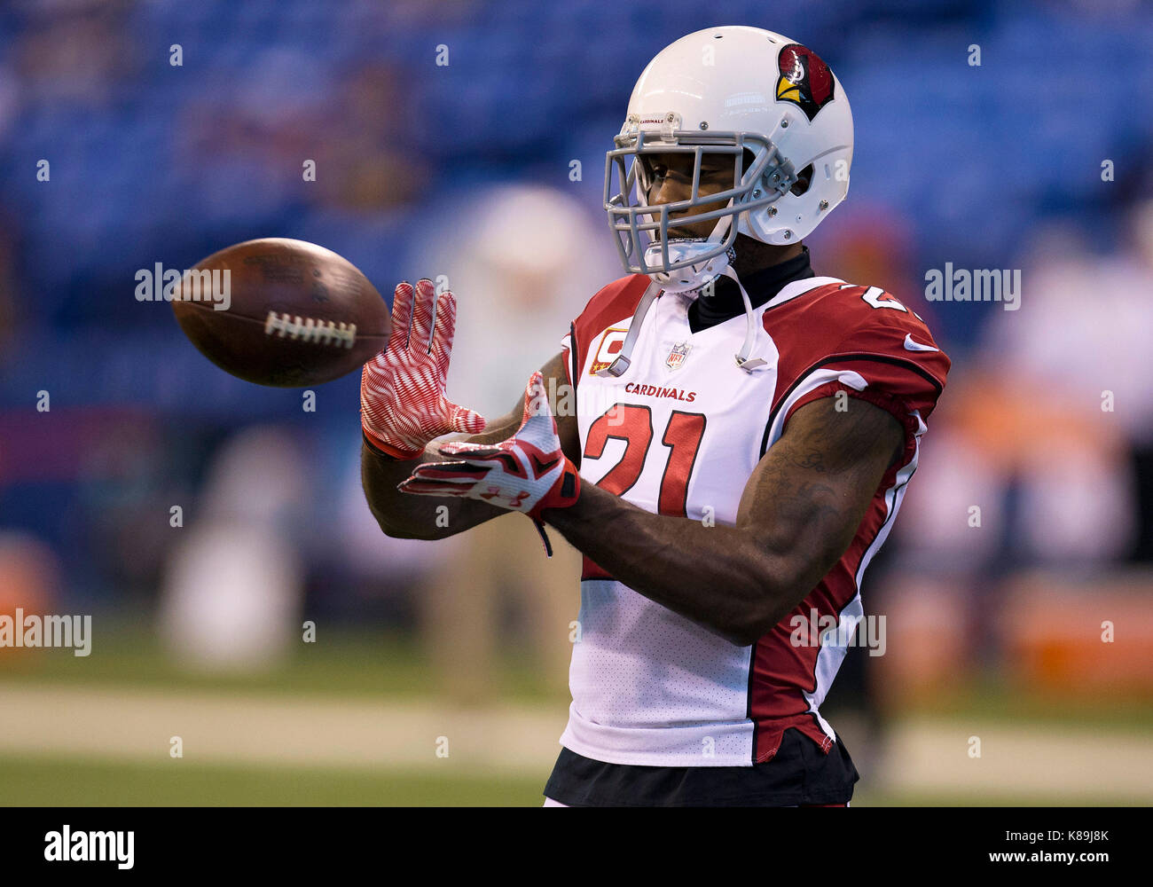 Lucas peterson hi-res stock photography and images - Alamy