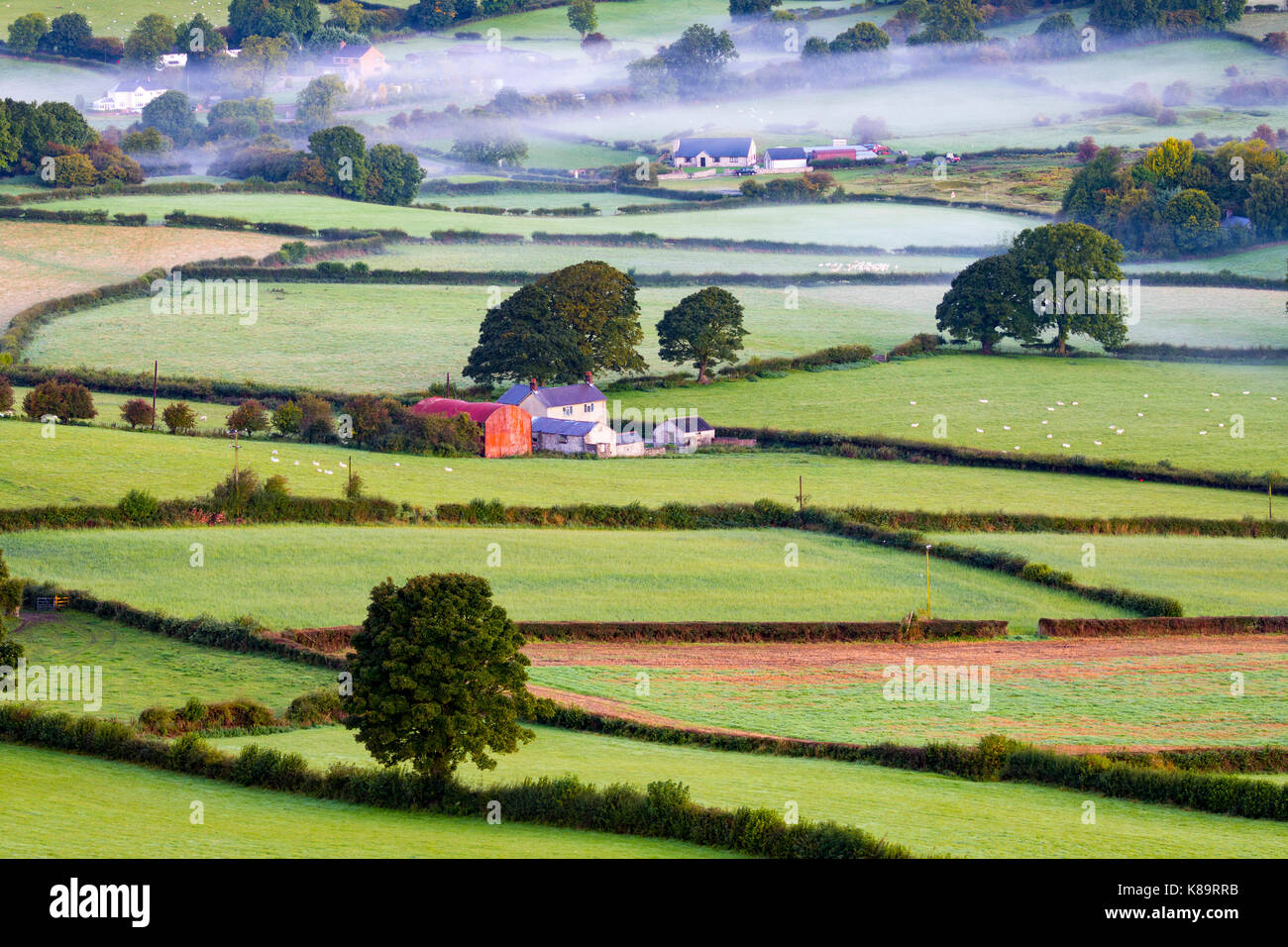 Frozen fields hi-res stock photography and images - Alamy