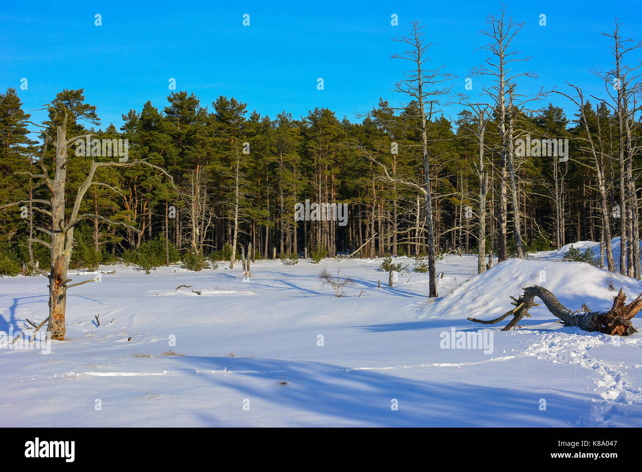 Frezzing day hi-res stock photography and images - Alamy