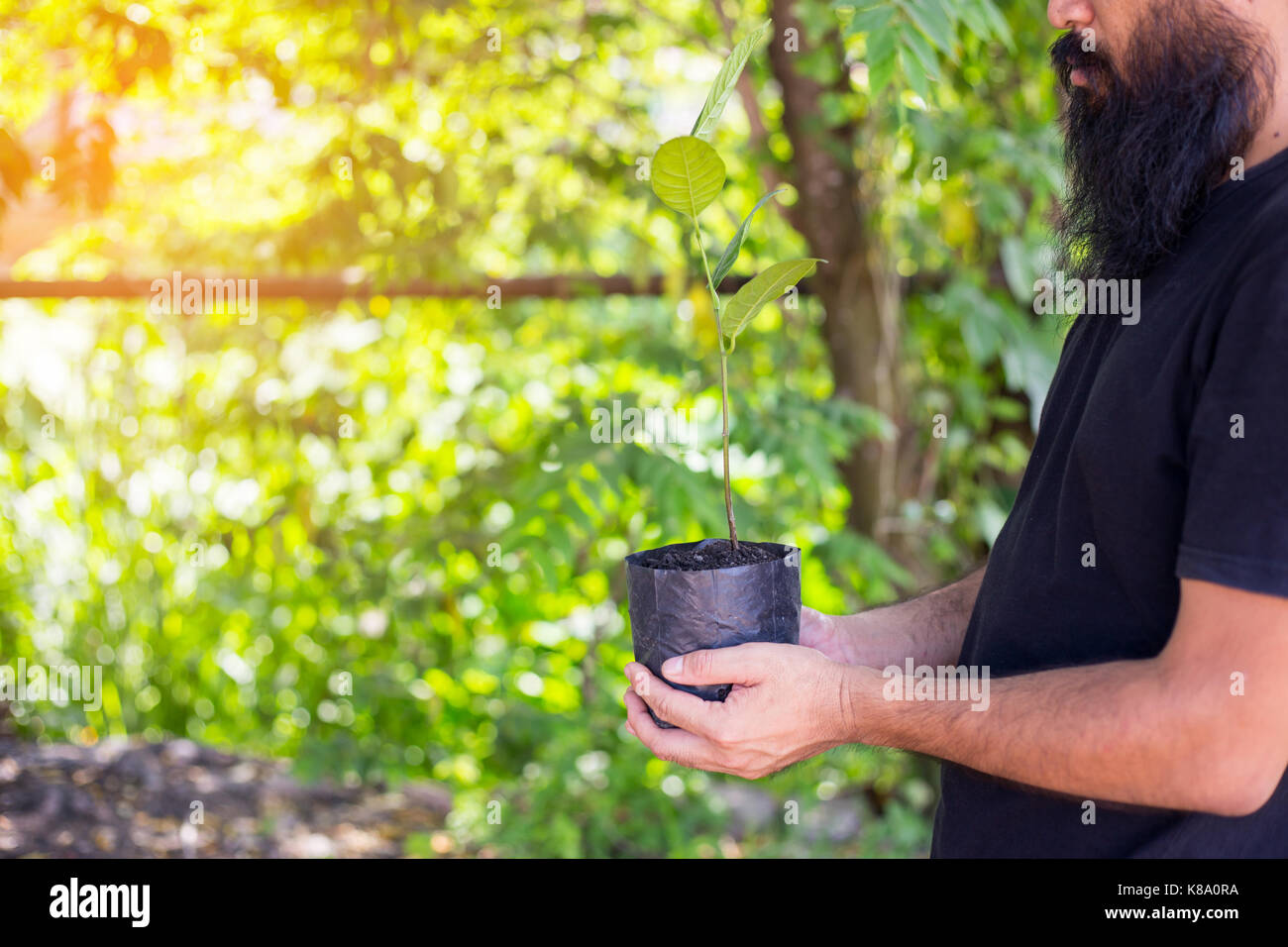 Afforest hi-res stock photography and images - Alamy