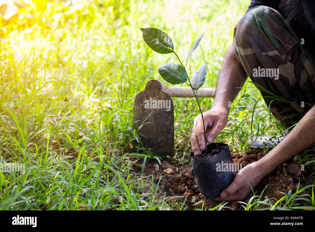Re afforest hi-res stock photography and images - Alamy