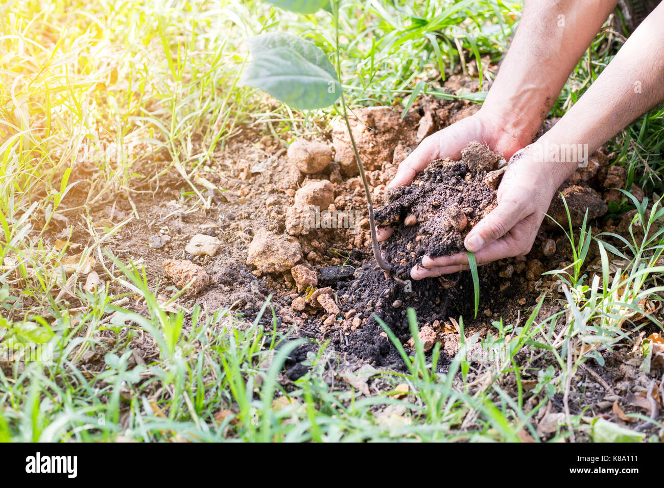 Afforest hi-res stock photography and images - Alamy