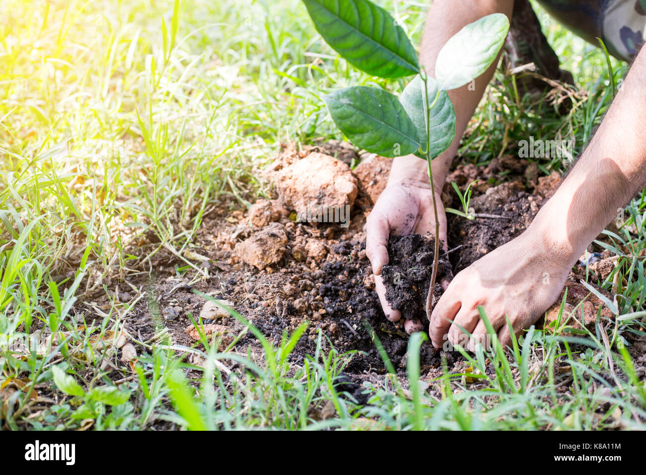 Afforest hi-res stock photography and images - Alamy