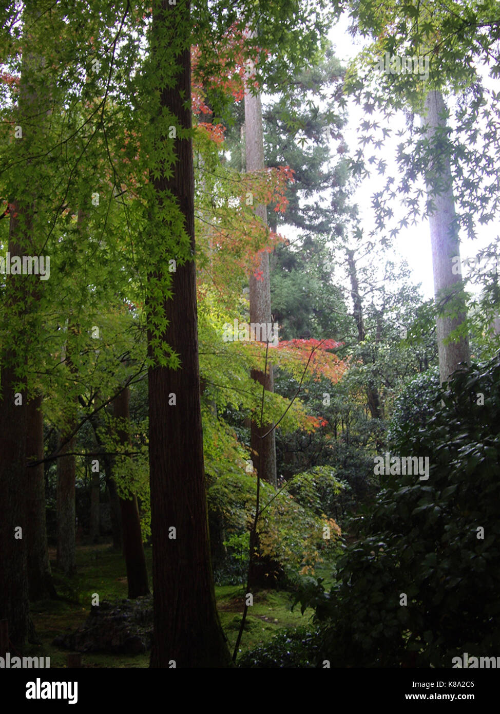 竜安寺. Ryoanji. Famous Zen Buddhist temple in Kyoto Stock Photo - Alamy