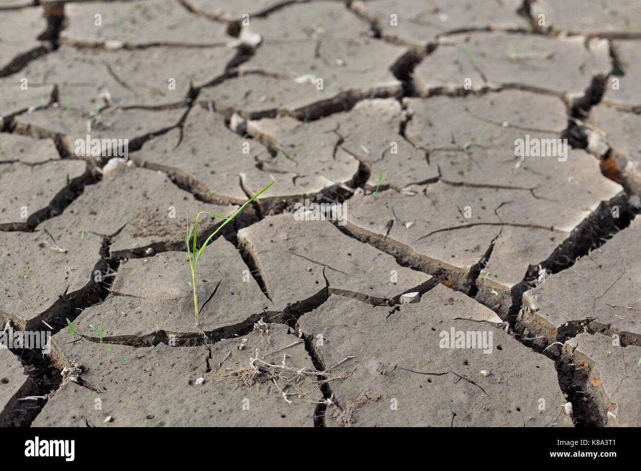 Surface tear terrain texture hi-res stock photography and images - Alamy Surface tear terrain texture hi-res stock photography and images - Alamy