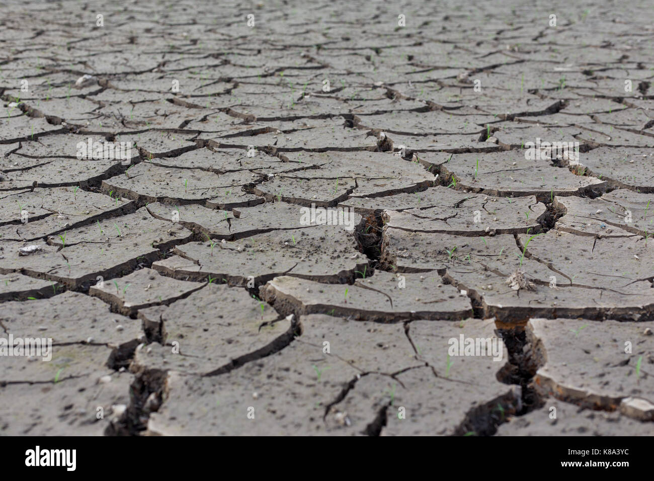 Broken soil hi-res stock photography and images - Alamy