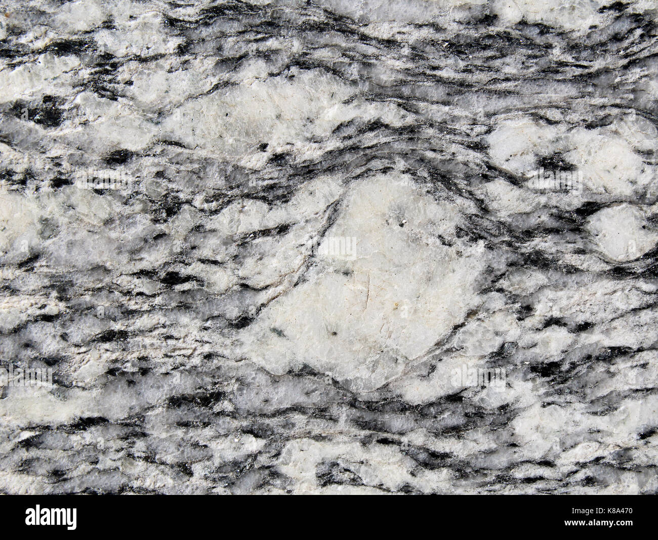 Porphyroclast surrounded by foliation in metamorphic rock Stock Photo ...