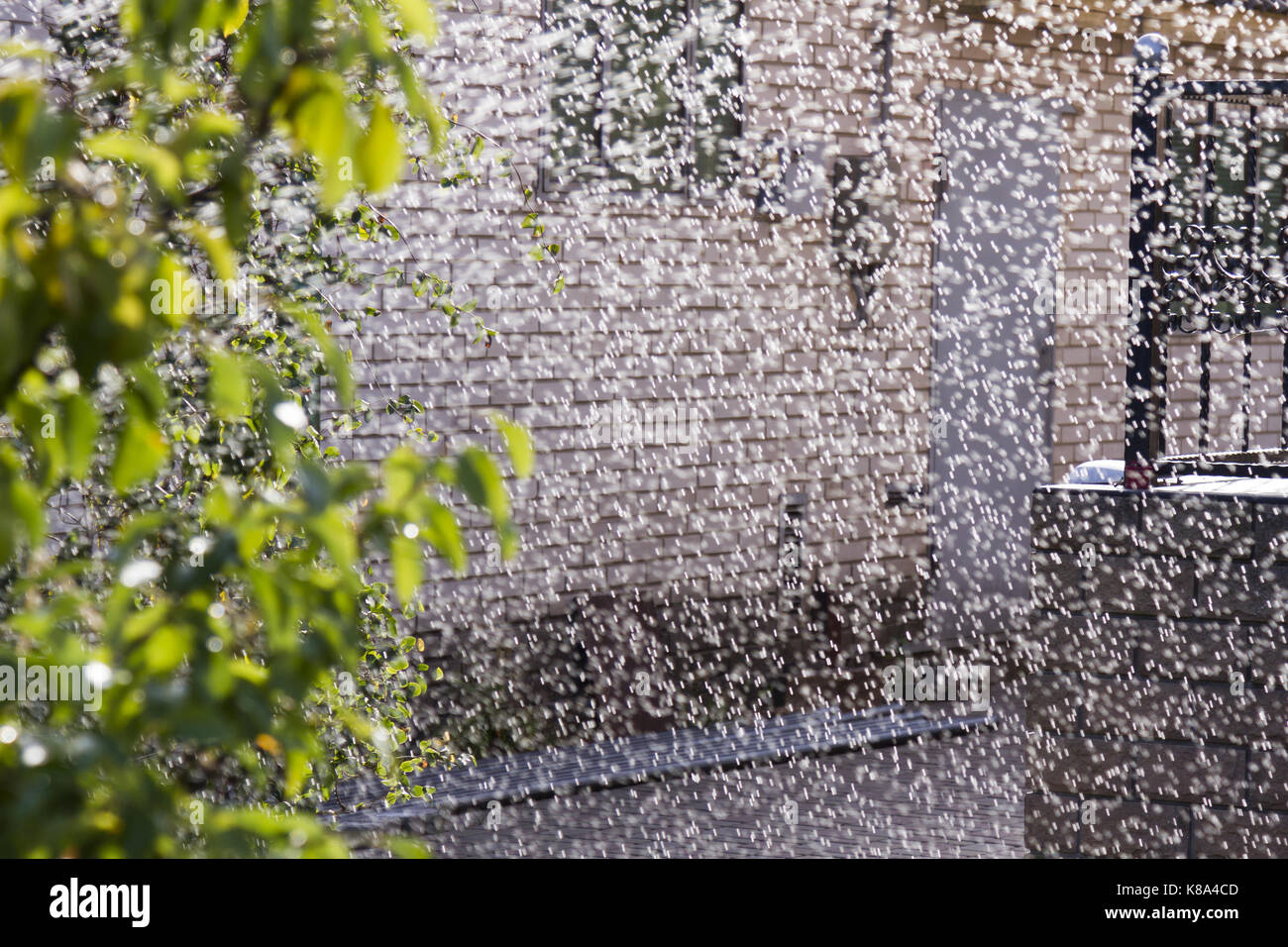 Outdoor summer day garden child wet hi-res stock photography and images - Alamy