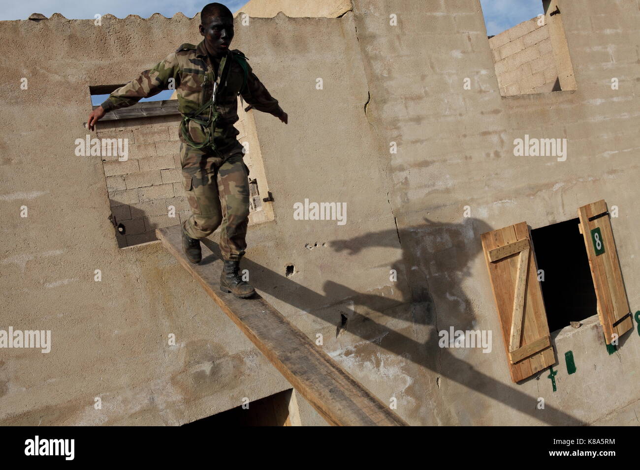 Frasilii hi-res stock photography and images - Alamy