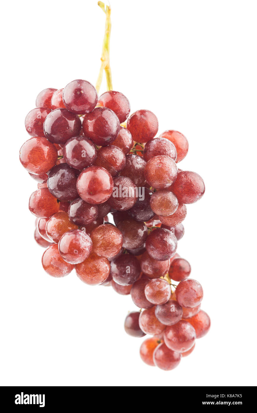 Grape tendril leaf isolated Cut Out Stock Images & Pictures - Alamy