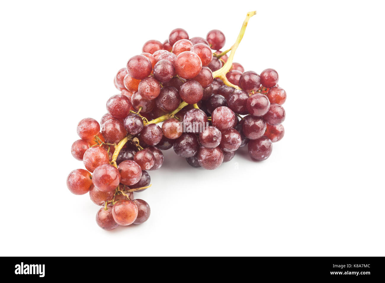 Grape tendril leaf isolated Cut Out Stock Images & Pictures - Alamy