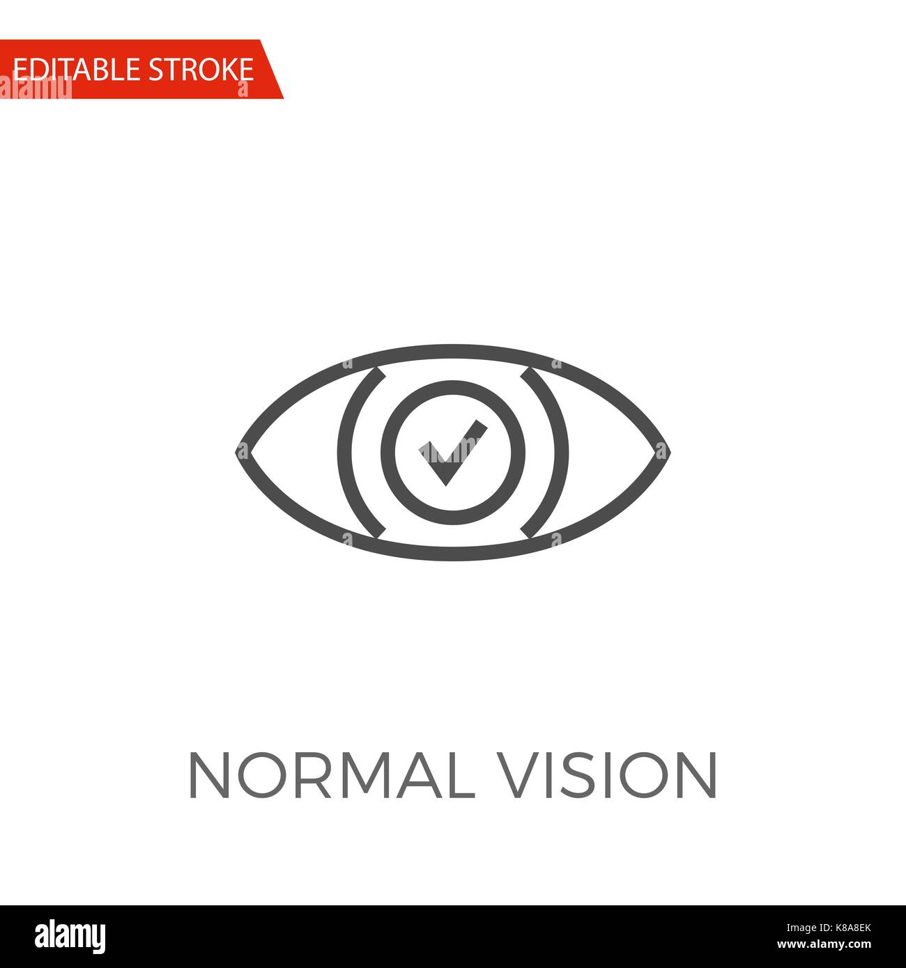Normal Vision Thin Line Vector Icon. Flat Icon Isolated on the White ...