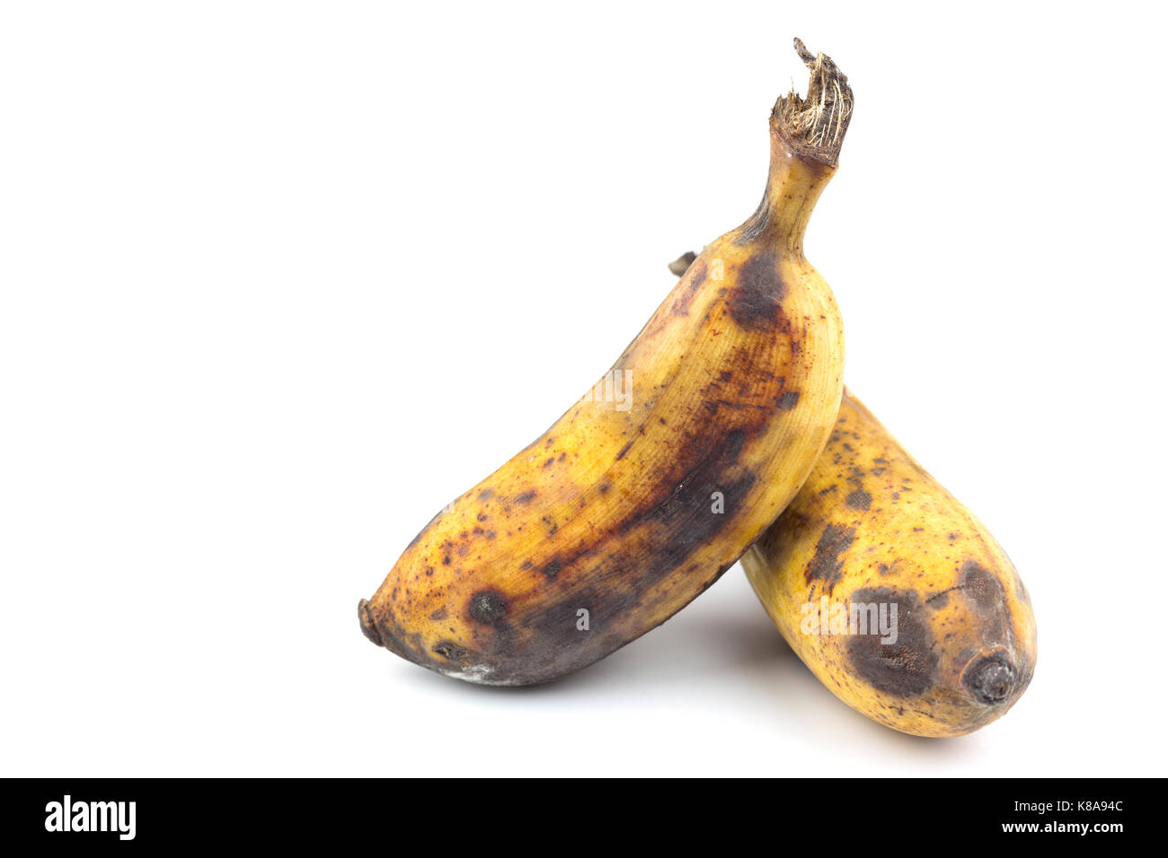 Festered hi-res stock photography and images - Alamy