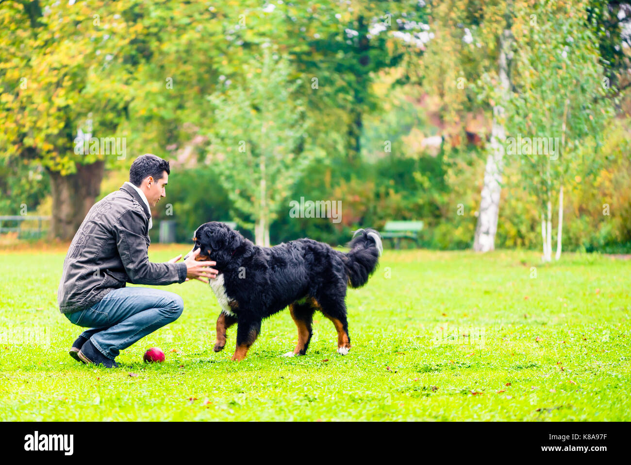 Man throwing ball for dog hi-res stock photography and images - Alamy