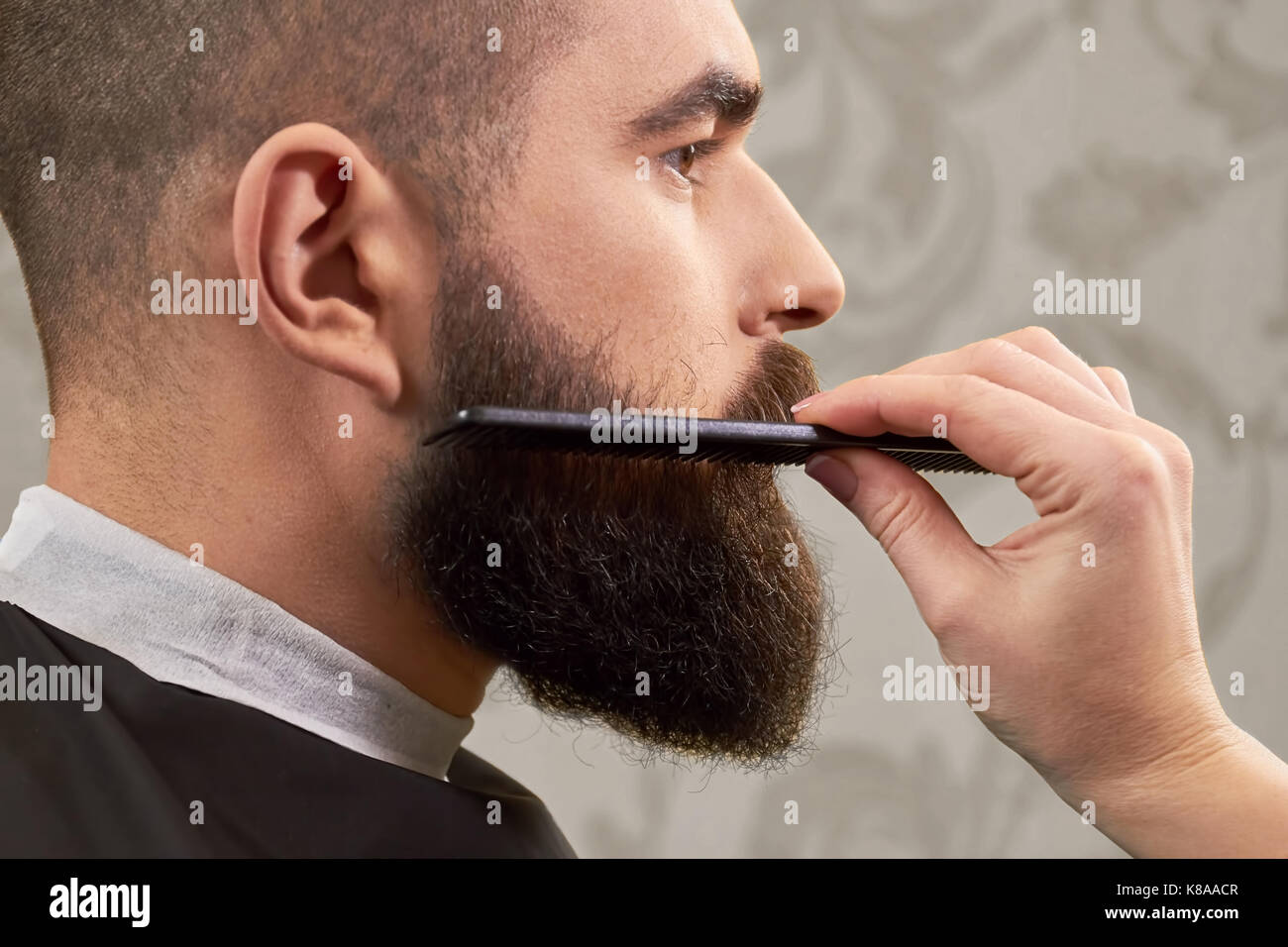 Hand of barber brushing beard Stock Photo - Alamy