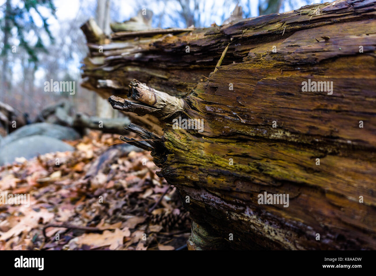 Dark colour hi-res stock photography and images - Alamy