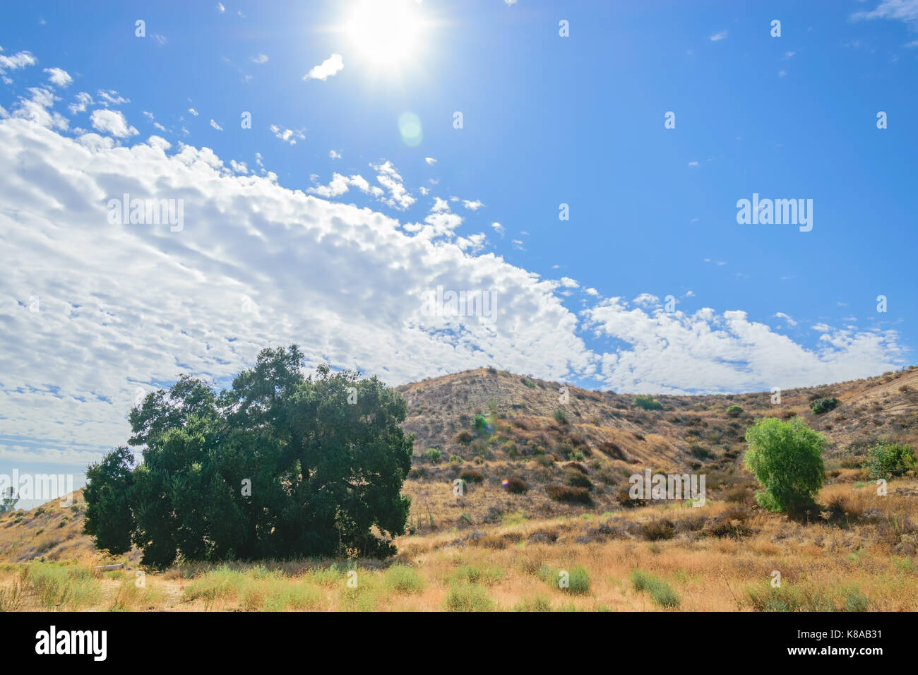 California hillside hi-res stock photography and images - Alamy