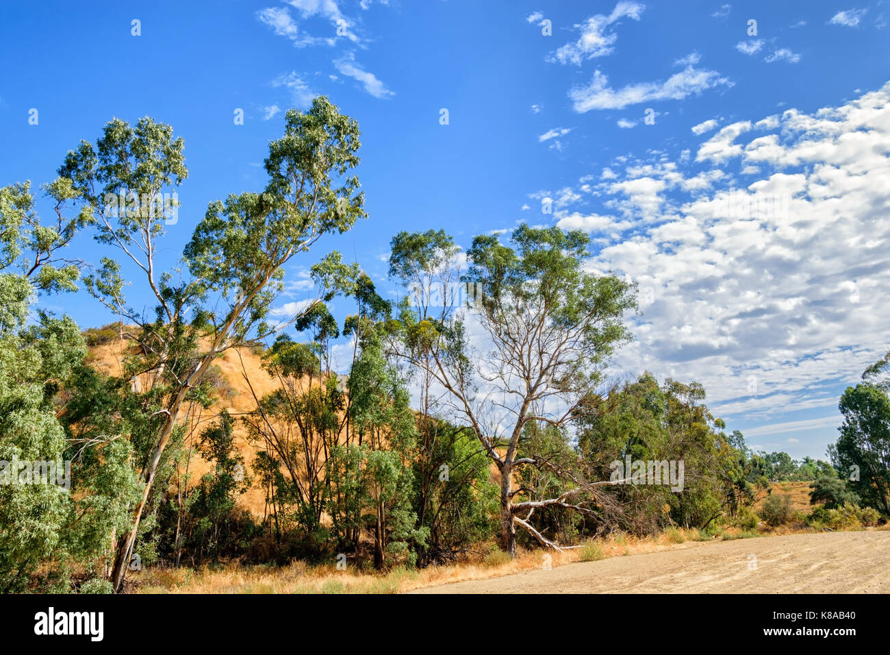 Grow scenery hi-res stock photography and images - Alamy
