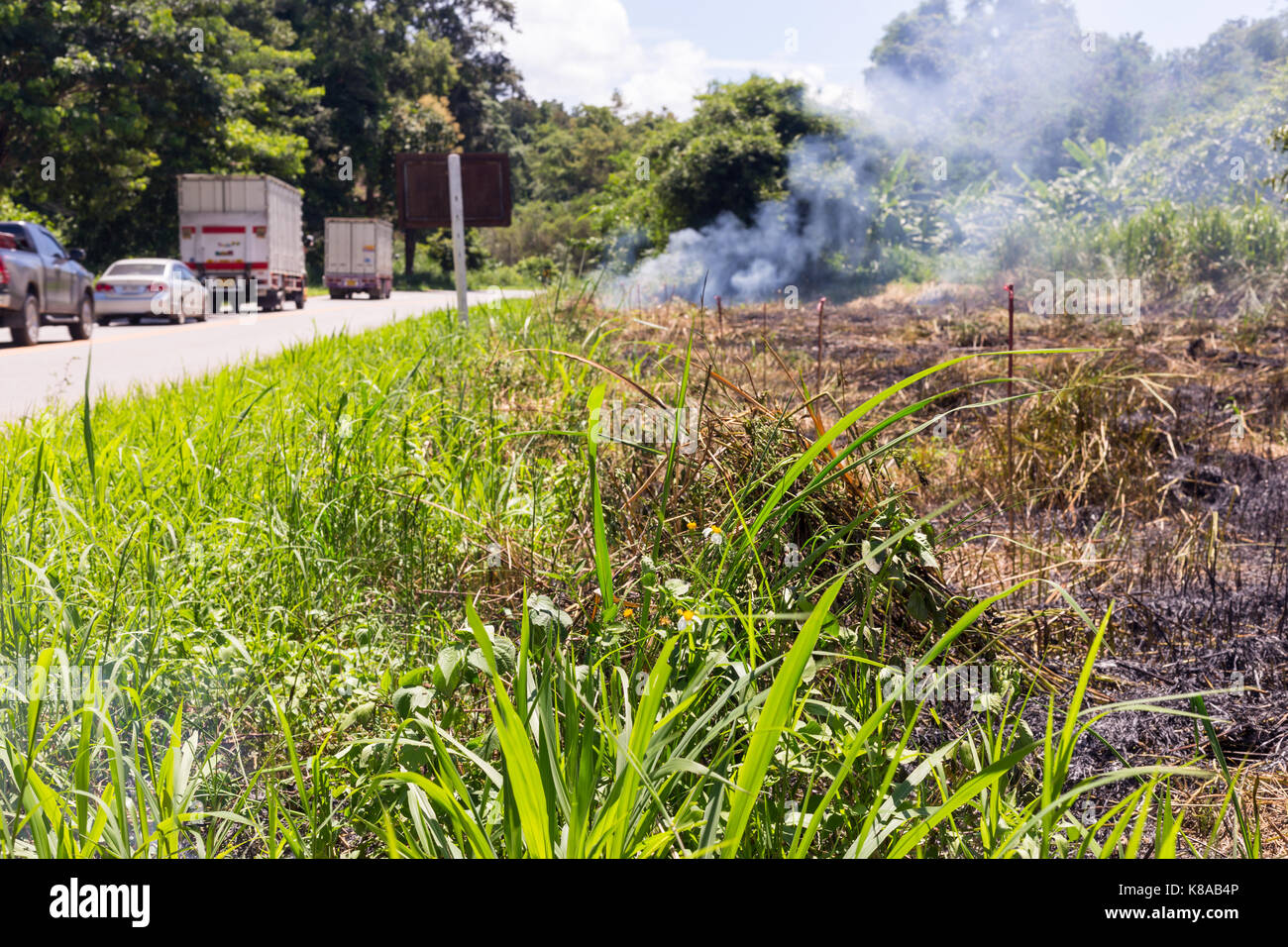 Forest and smoke hi-res stock photography and images - Alamy