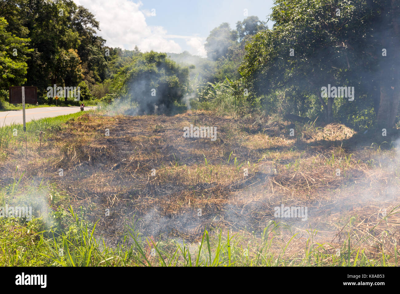 Forest fire a lot of smoke when wildfire Stock Photo - Alamy