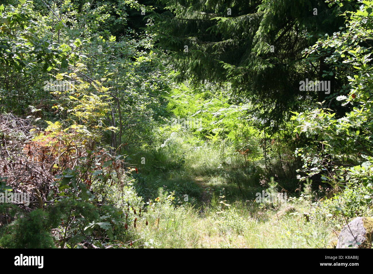 Unsorted landscape images (Work in progress Stock Photo - Alamy