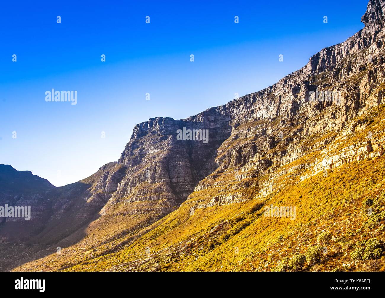 Landscape on top of the table mountain nature reserve in Cape Town at ...