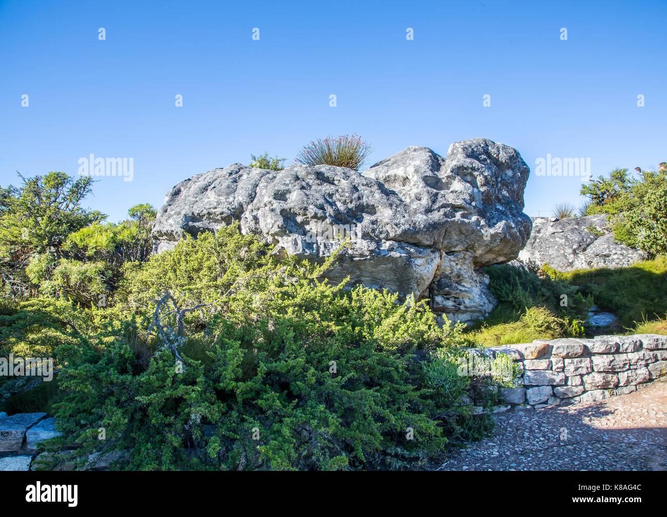 Table mountain nature reserve hi-res stock photography and images - Alamy