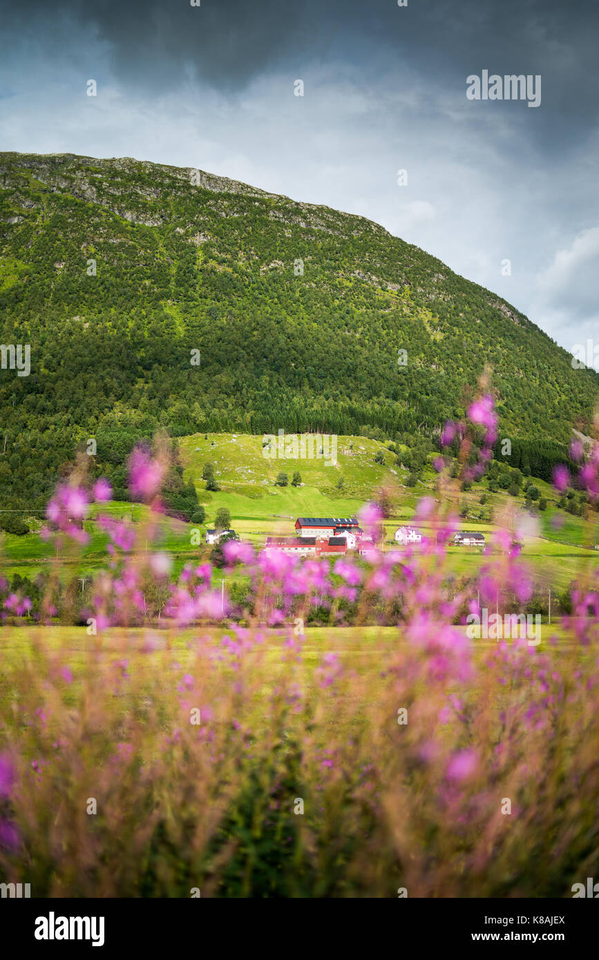 Dalavatnet hi-res stock photography and images - Alamy