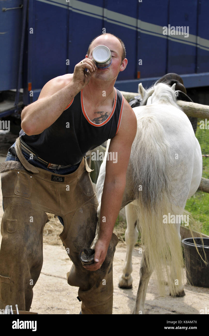 A blacksmith taking a drink whilst shoeing a horse. Hot work with his ...