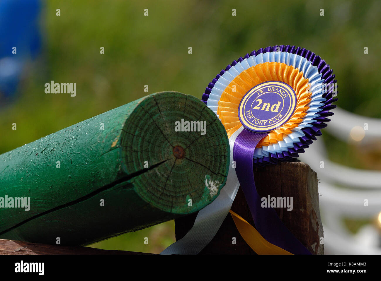 a second place rosette at a horse riding or show jumping event resting ...