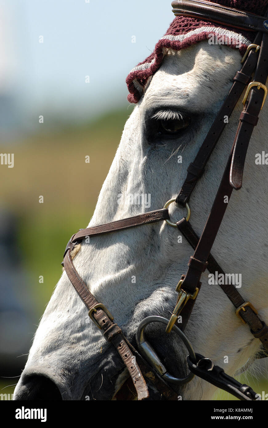 Distracted riding hi-res stock photography and images - Alamy