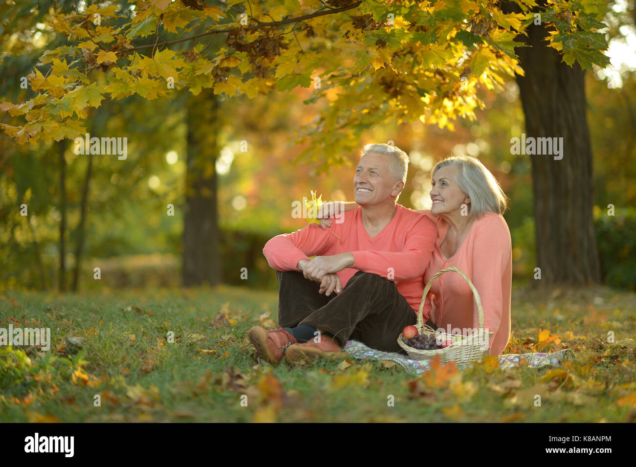 Senior couple having romantic picnic hi-res stock photography and ...