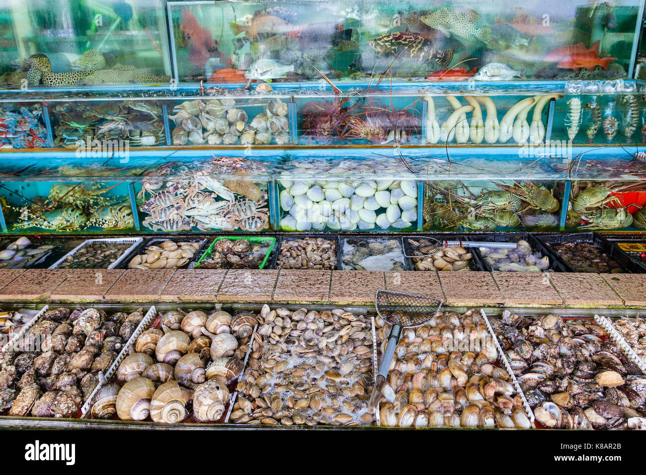 Seafood market fish tank in hi-res stock photography and images - Alamy