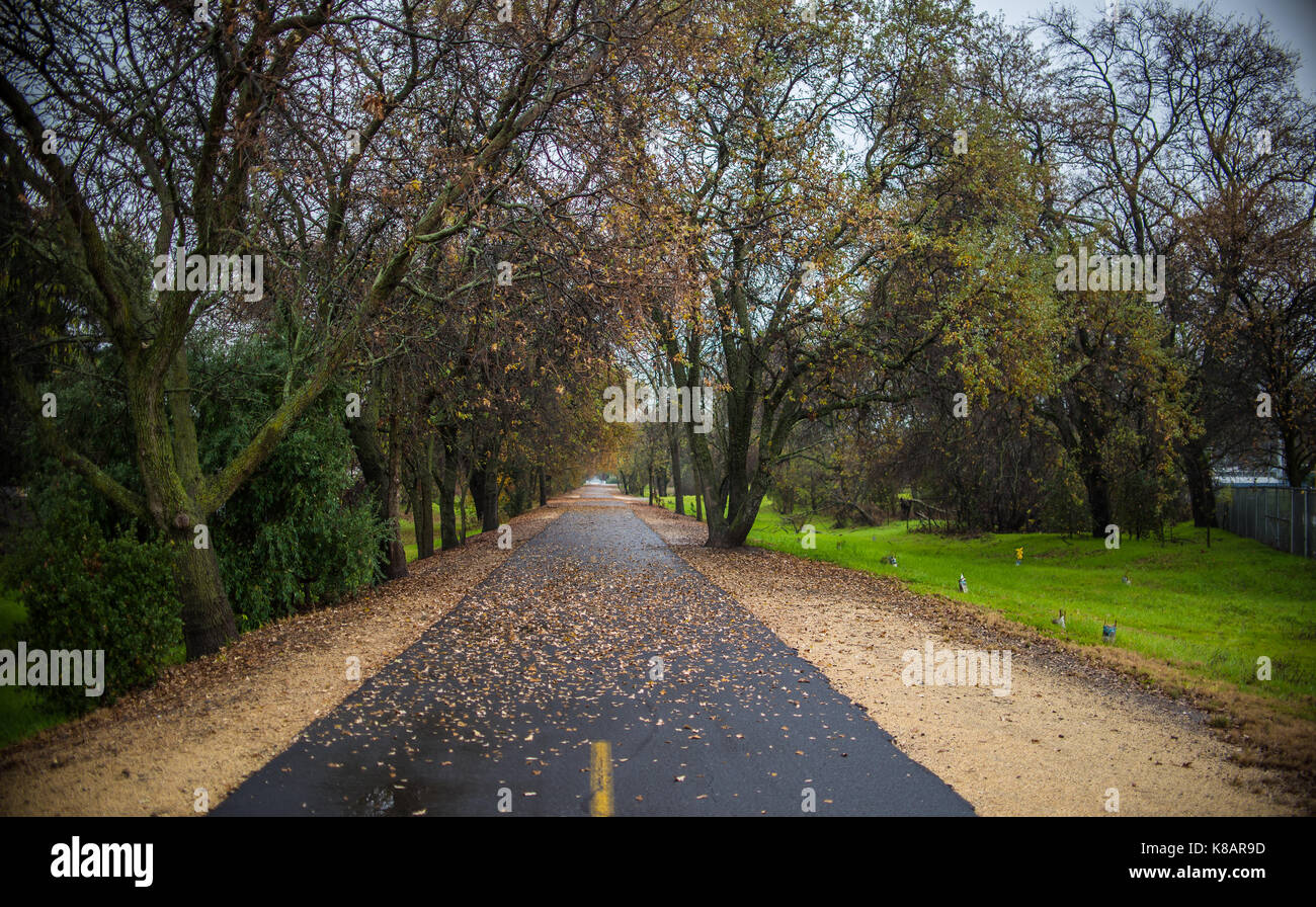 Pathway landscape hi-res stock photography and images - Alamy