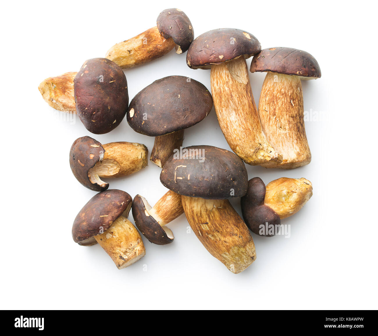 Fresh boletus mushrooms isolated on white background. Tasty food ...