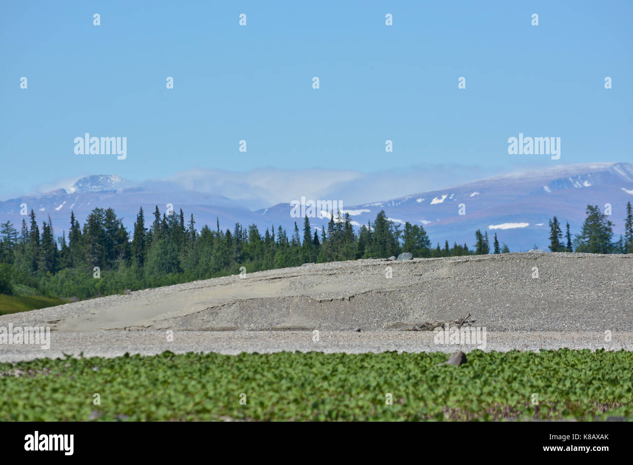 The main Ural ridge against the background of river sediments. Summer ...