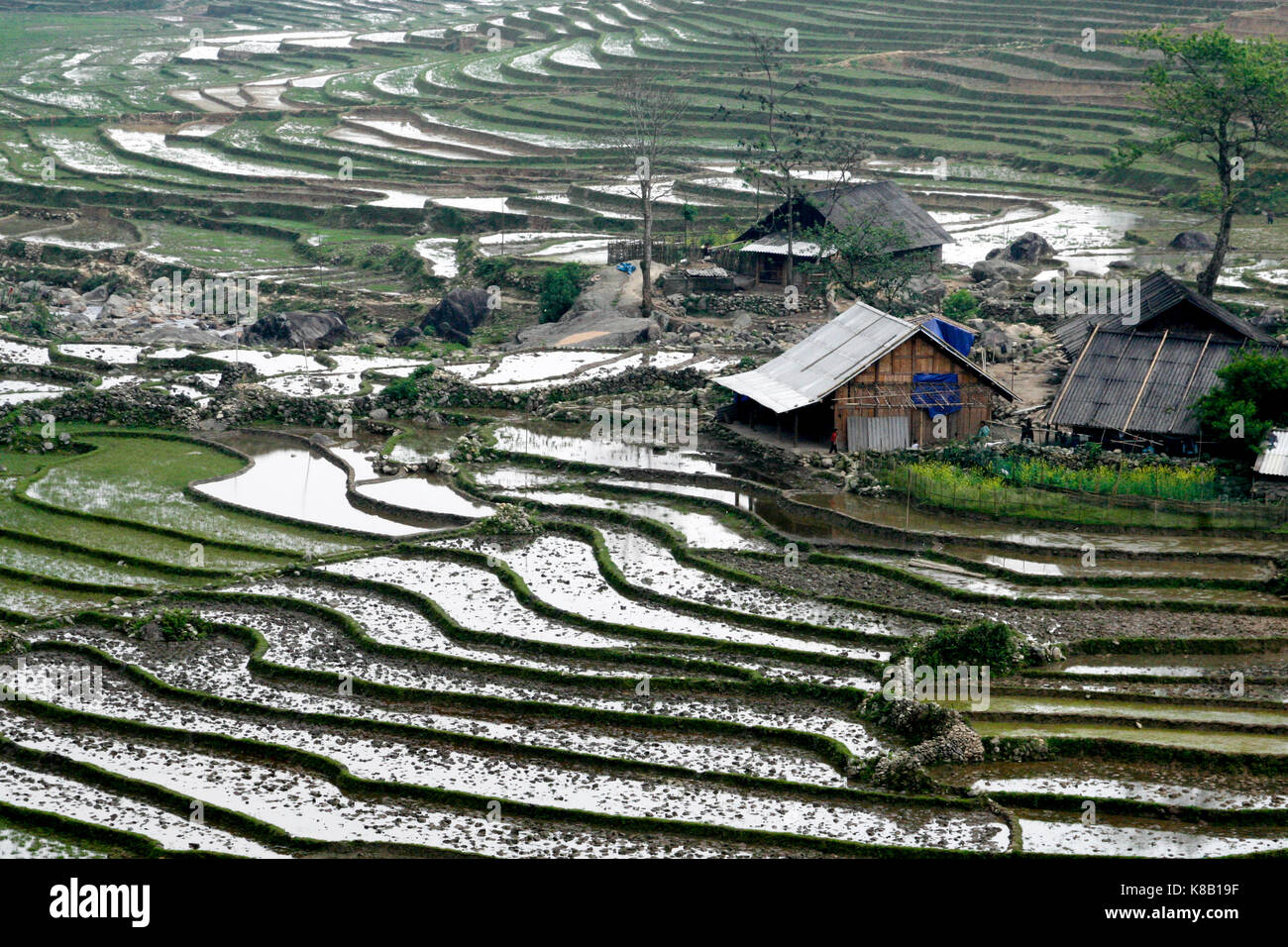 Terraced rice paddies hi-res stock photography and images - Alamy