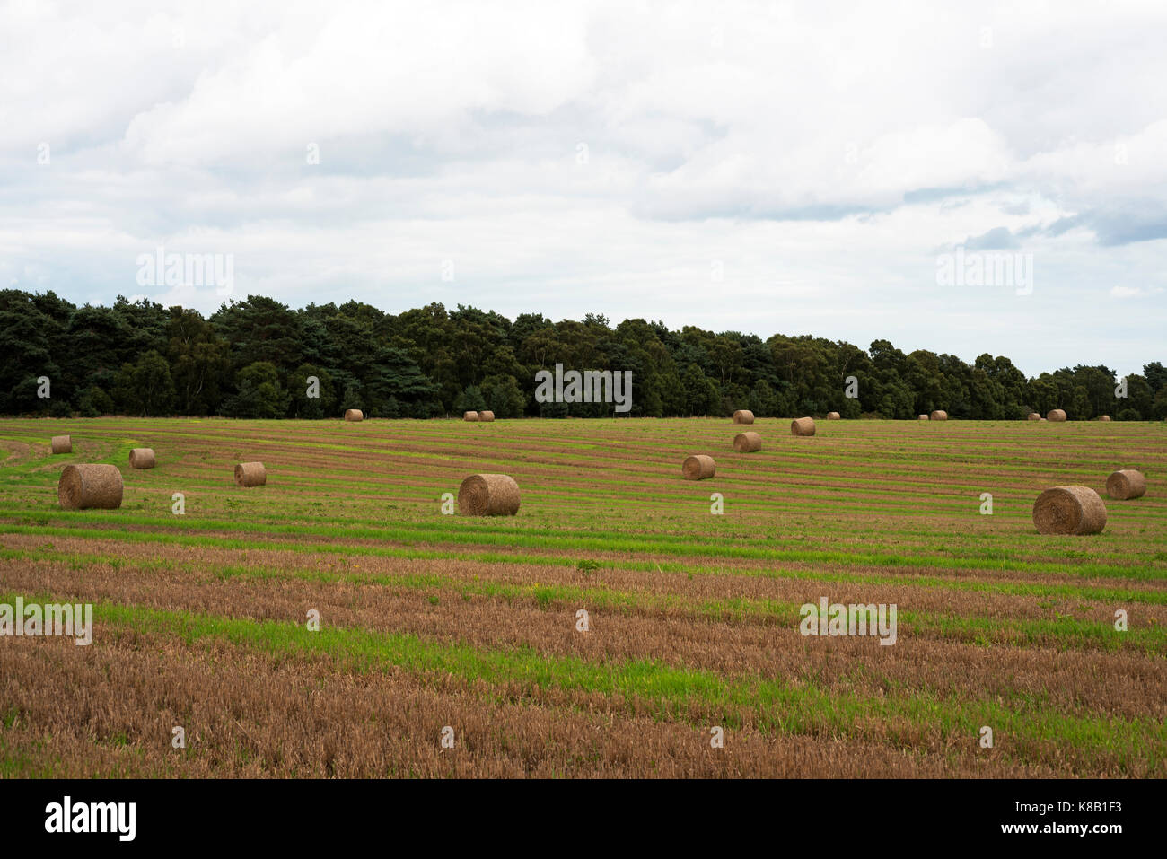 Baled hi-res stock photography and images - Alamy