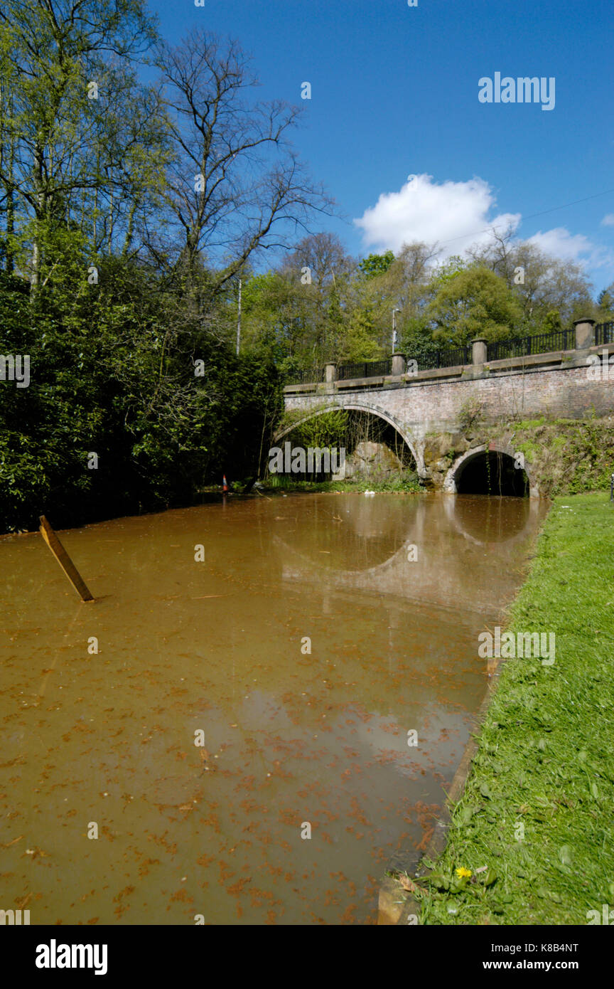John Giilbert High Resolution Stock Photography and Images - Alamy