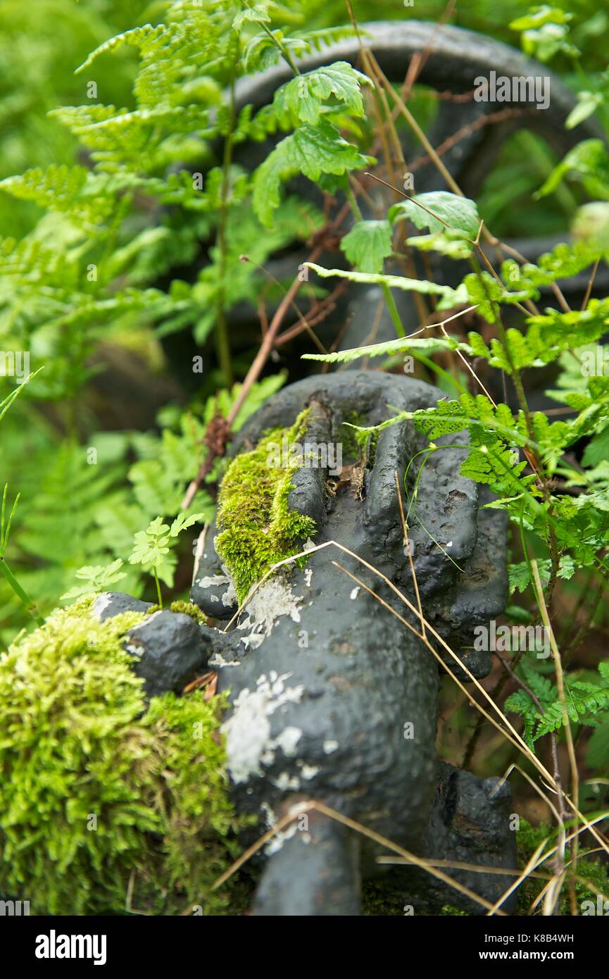 John giilbert hi-res stock photography and images - Alamy