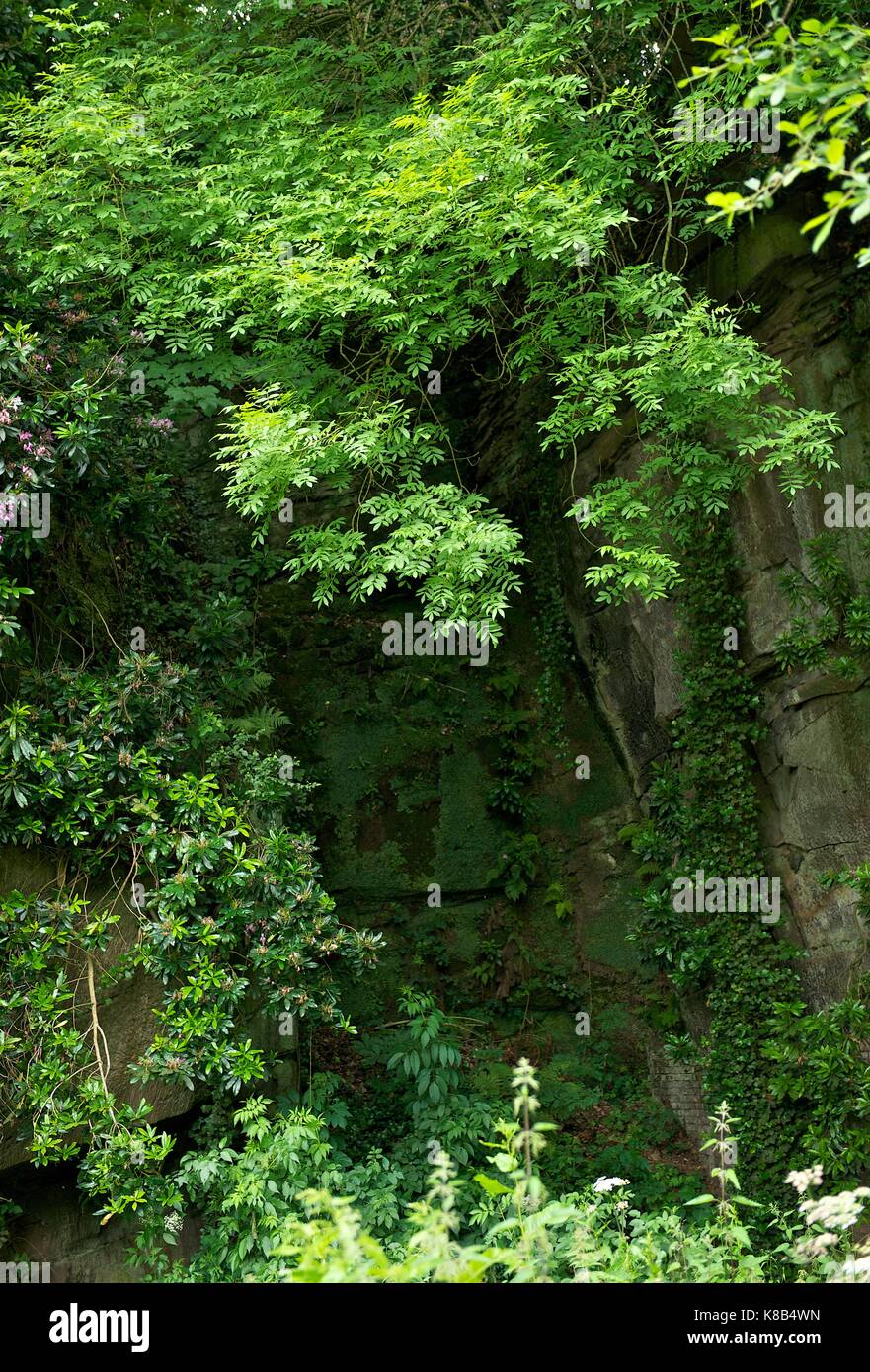 The Delph, Worsley, Manchester Stock Photo - Alamy
