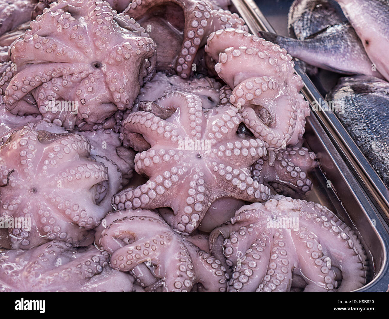 Octopus nets hi-res stock photography and images - Alamy