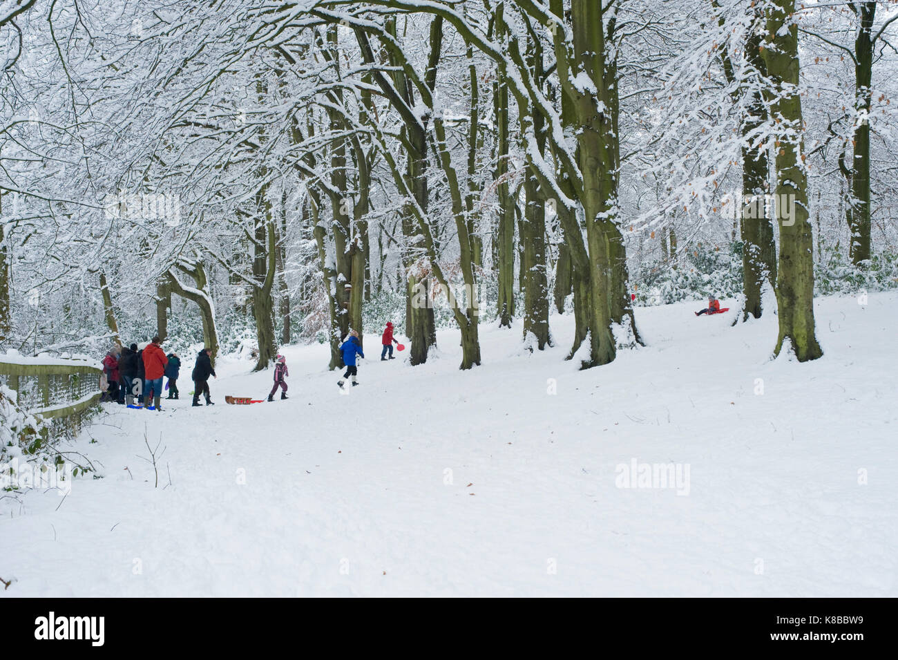 Worsley woods hi-res stock photography and images - Alamy